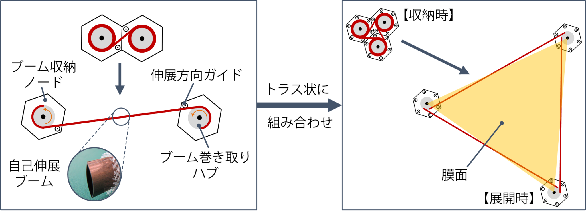 JP_COMPANY - cosmobloom